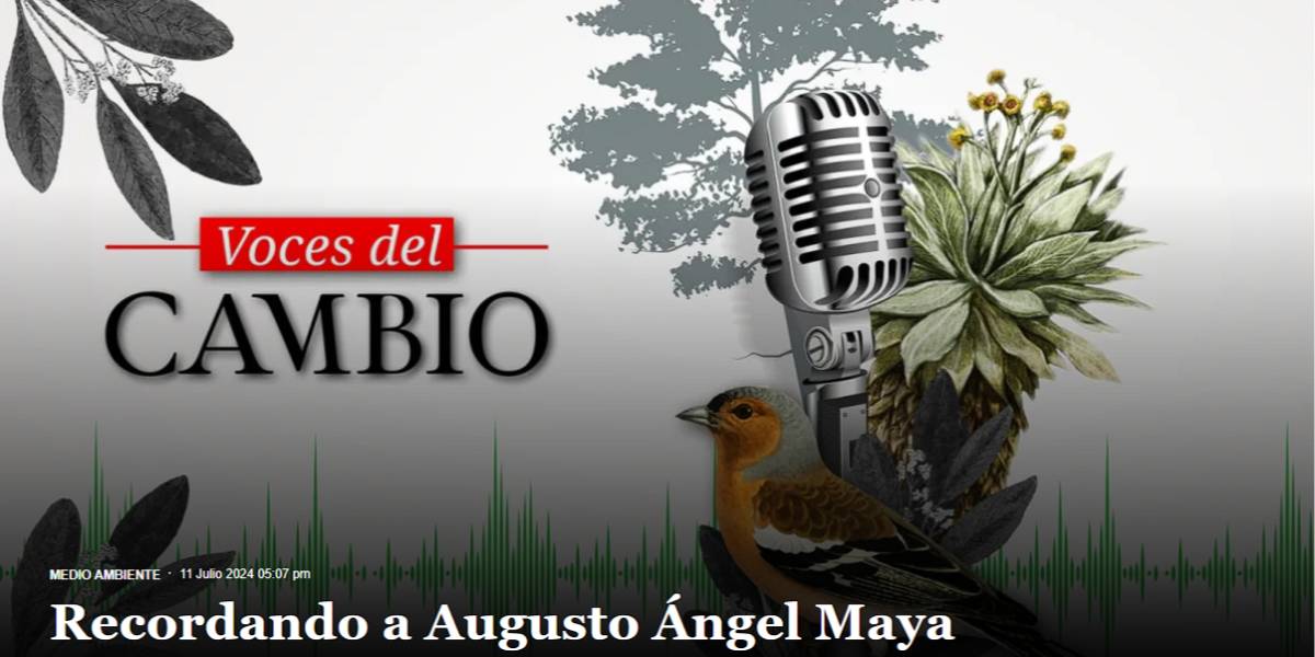 Recordando a Augusto Ángel Maya - Augusto Ángel Maya